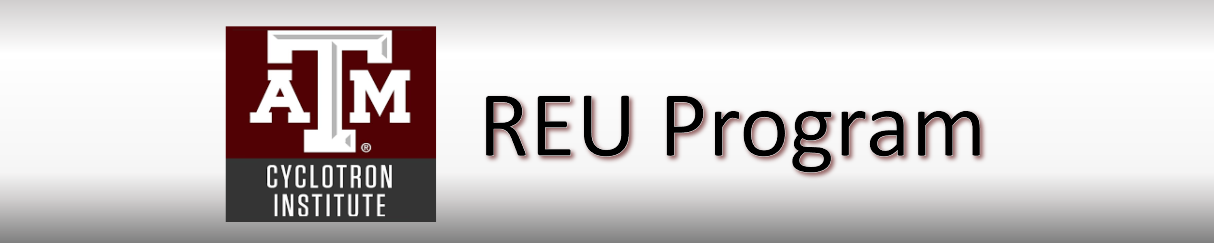 Summer 2014 Cyclotron Institute REU Program